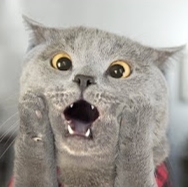 高颜值的九涉酒 