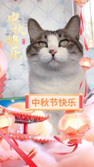 月美人团圆中秋节快乐祝亲们节日快乐中国传统节日
