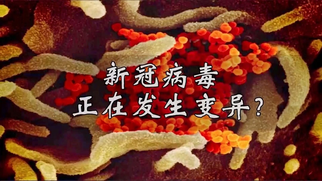 新冠病毒正在发生变异?美国专家:符合预期,不意外也不担忧