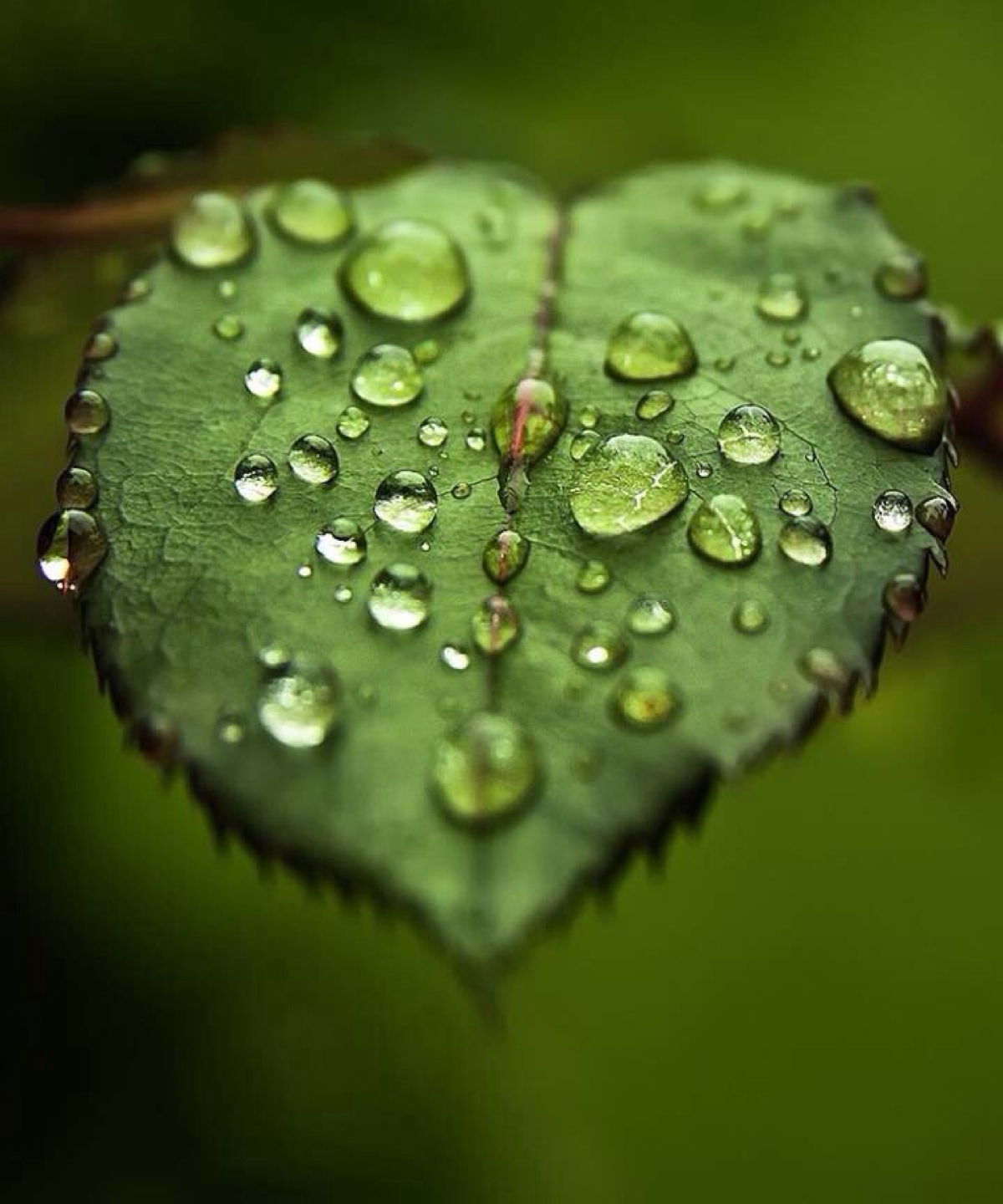 爱玩游戏的丁小雨 