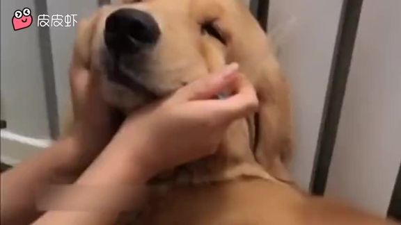 相约皮皮虾,看搞笑视频集