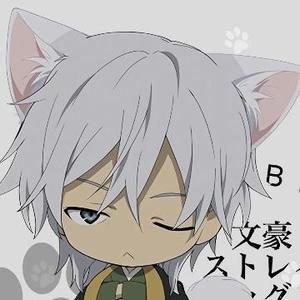 录制生活的小陈 