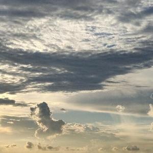 壹指观天下 