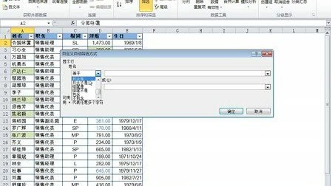 Excel 2010实战技巧精粹-Excel 2010灵活筛选数据
