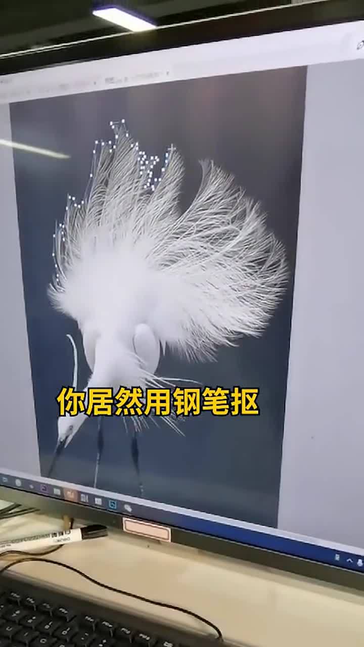 这才是正确的抠毛发小技巧,别再用钢笔啦!喜欢的话点赞关注点击头像进入免费分享软件和18节详细教学