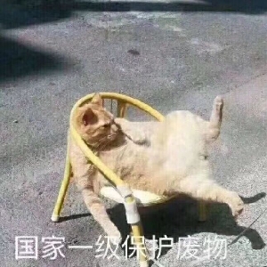 卖篮子的小白菜 