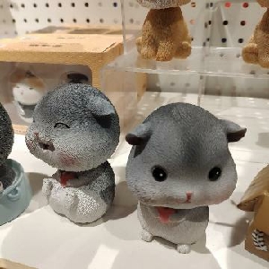 小小拉丁文 