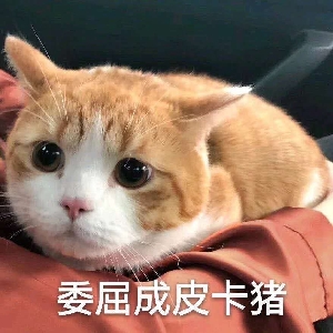 Ada韩胖儿 