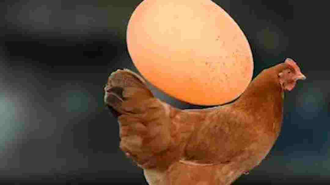 屌德斯解说 护送鸡蛋模拟器 据说玩了这款游戏的人都把电脑砸了