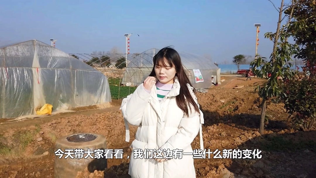 河南农村臭水沟清理,排水系统改造,村民很开心