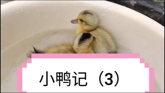 #农村生活 农村的幸福指数越来越高了。