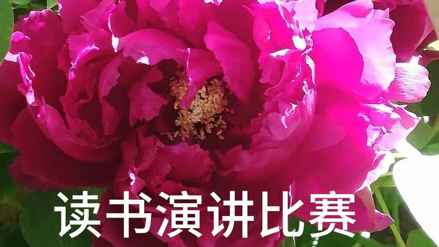 西峡县西坪镇读书演讲比赛活动的中优秀选手的精彩演讲