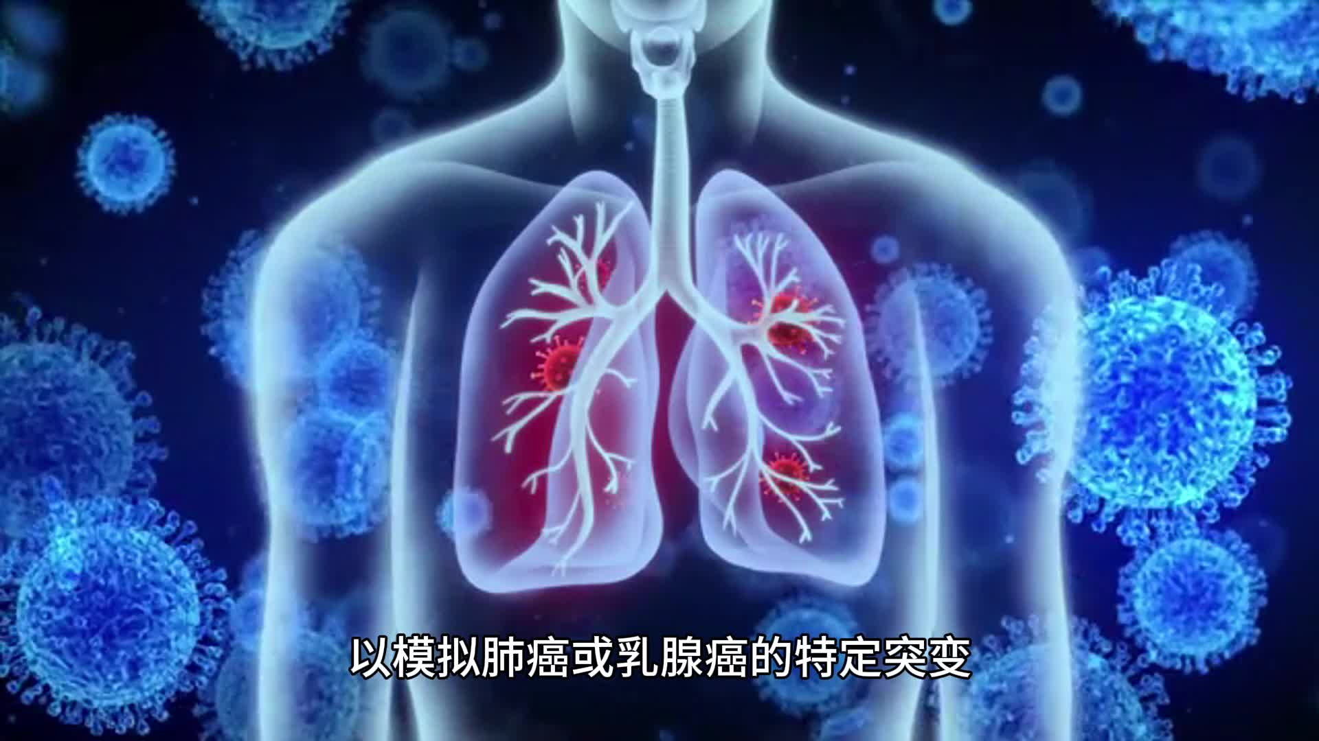 解析小鼠模型在肺癌与乳腺癌研究的关键作用