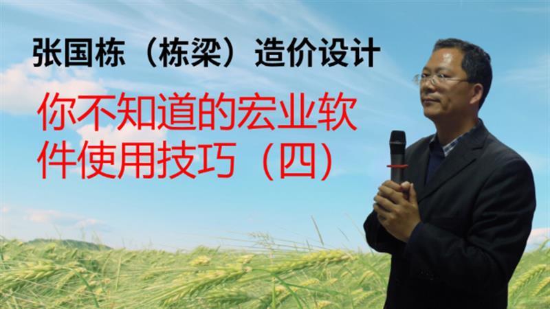 张国栋(栋梁)造价设计:你不知道的宏业软件使用技巧(四)