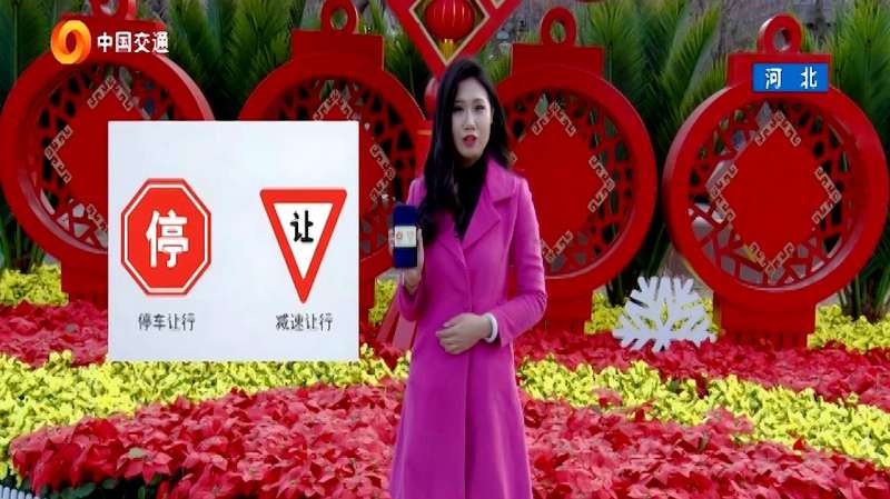 美女带你了解看上去很相近的交通标识,所表示的不同意思!