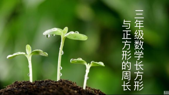 三年级数学长方形与正方形的周长