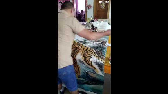 名家画虎技法讲解