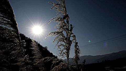 北京卫视《档案》花絮之奥迪