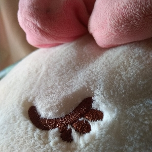 小咪熊智仔 