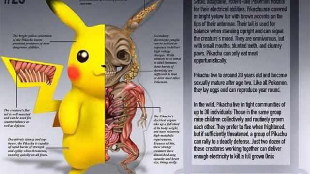 宝可梦内部构造曝光!原来皮卡丘是这样使用十万伏特的!