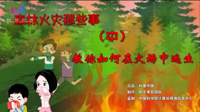 森林火灾那些事(中)