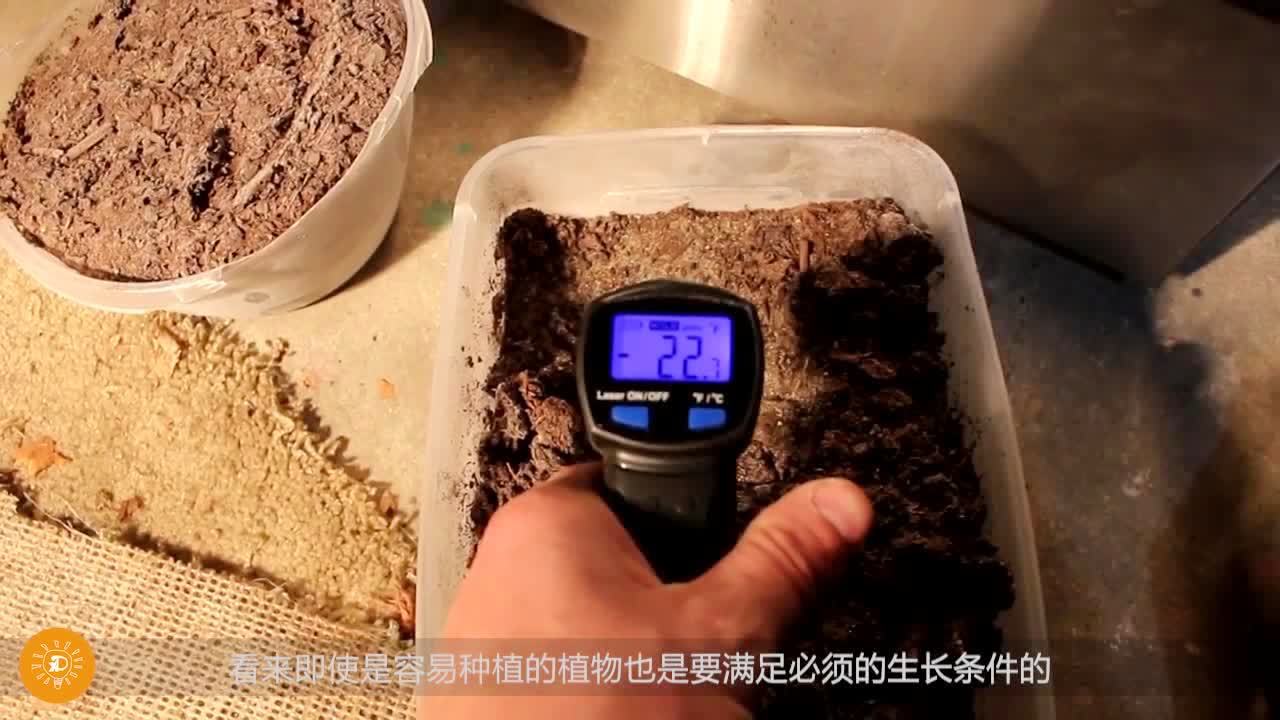 土豆能在火星中生长吗?老外进行模拟仿真实验,这波...