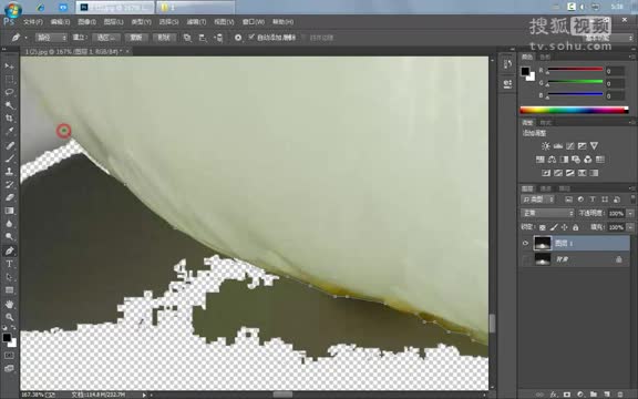 photoshop学习 ps基础教程 ps教程免费视频