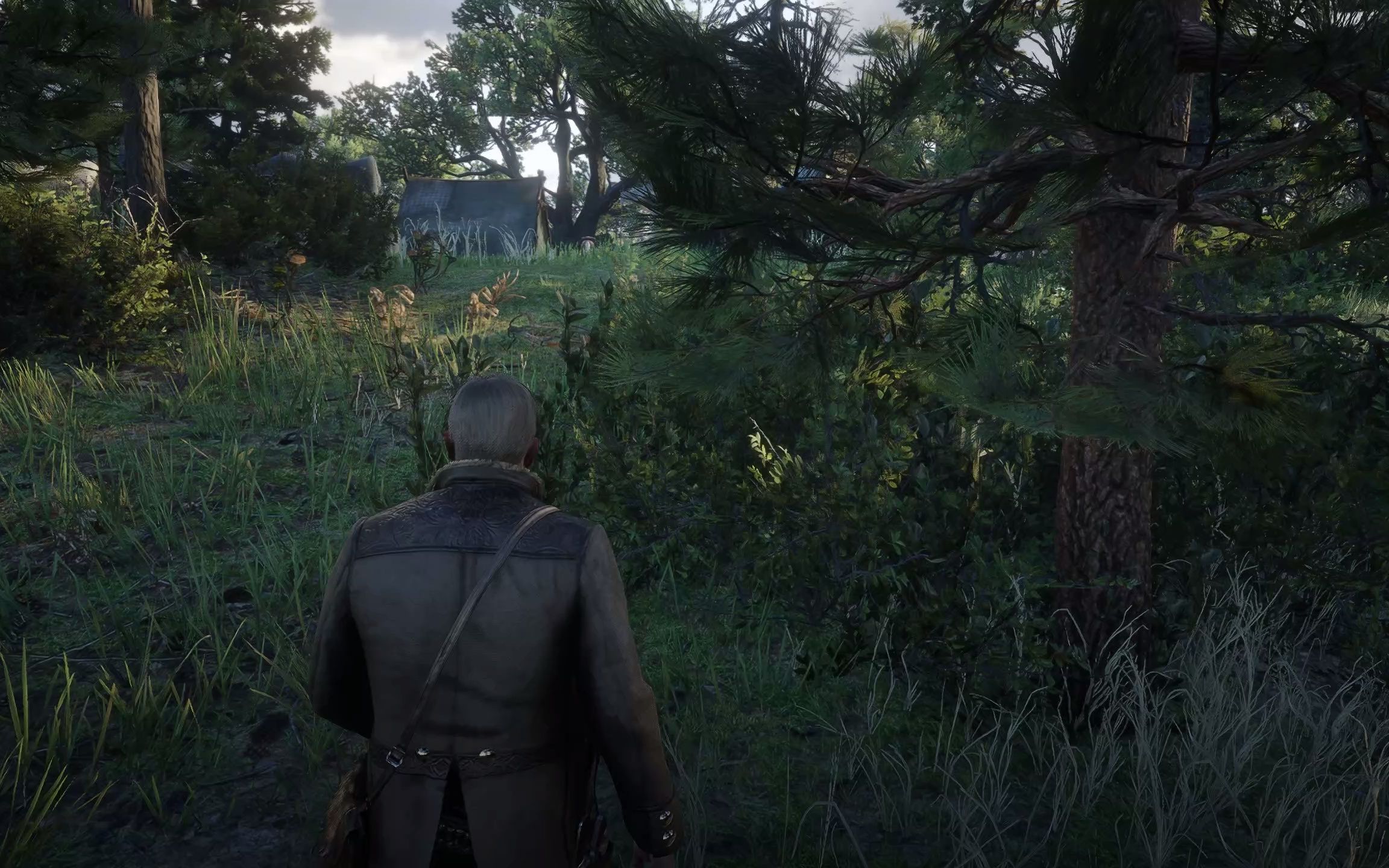 大表哥2 5800X3D+3070Ti畅玩 营救西恩任务 一路使用鹰眼爆头