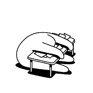 老韭菜吖 