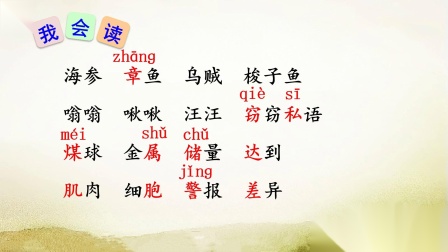 【尼山晓语】部编版三年级下册语文-23海底世界第1课时