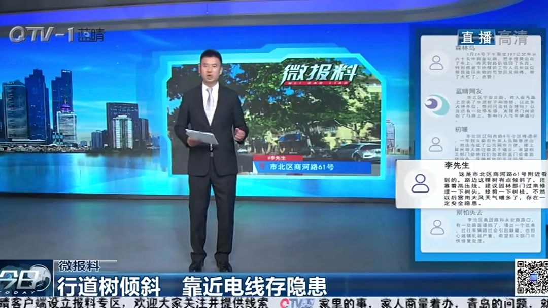 行道树倾斜 靠近电线存隐患