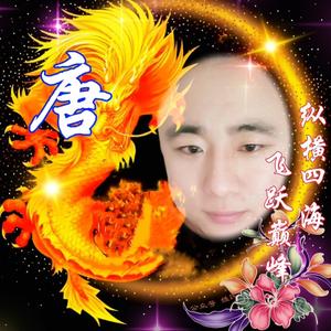 湘野唐哥 