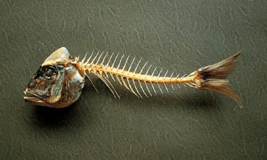 鱼刺卡喉咙了怎么办,鼻子里面塞点它,鱼刺一会自己跑出来!