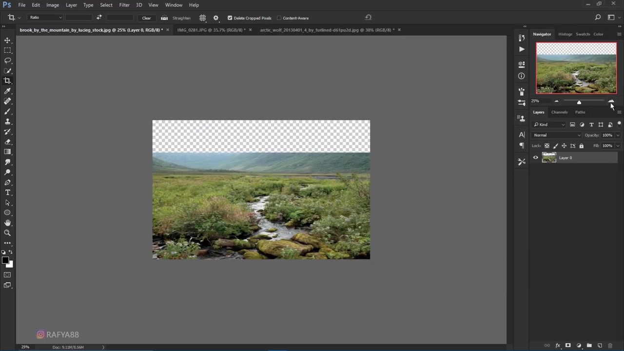 Photoshop教程-人与动物友情