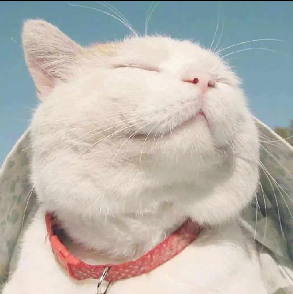 吃一箱魔法士 