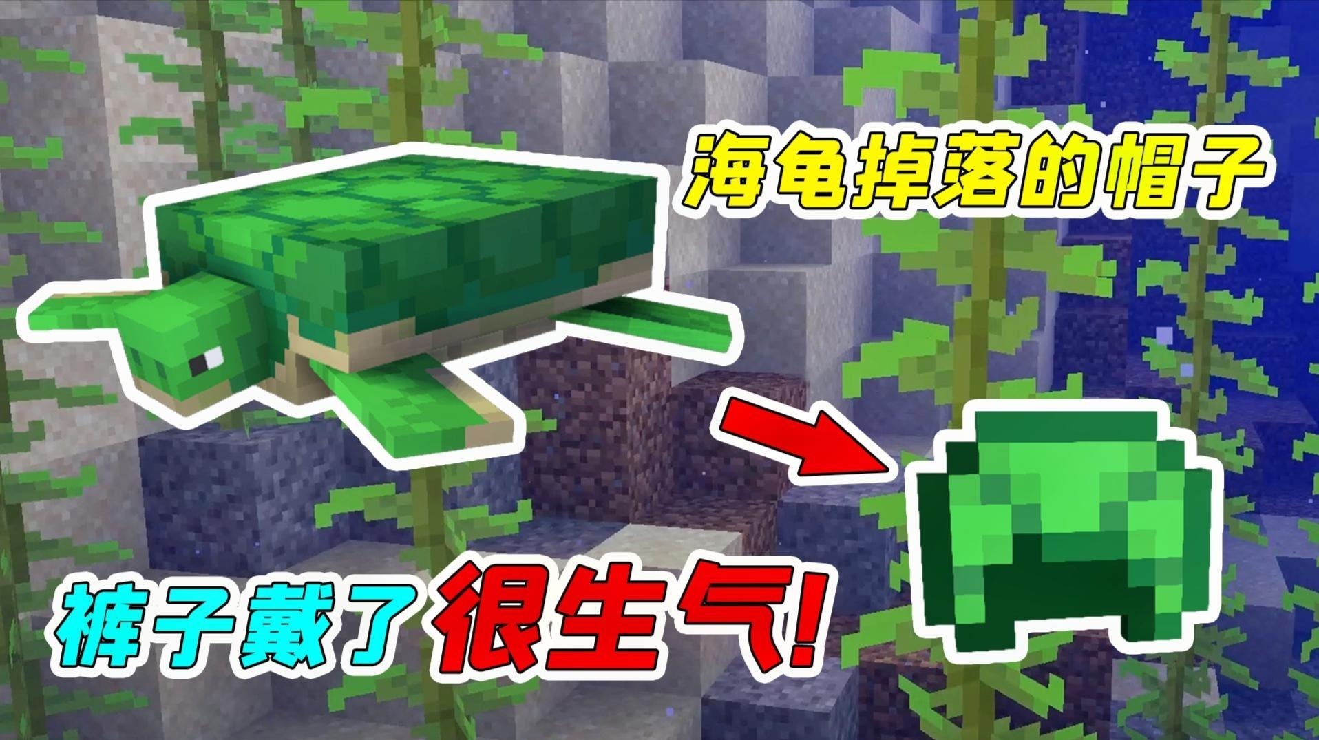 我的世界:海龟被雷劈会变成木碗?海龟长大竟能掉绿色的帽子!