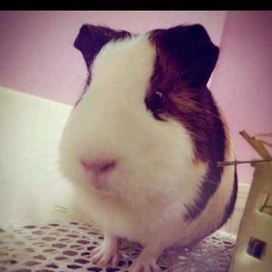 南京大行宫成人钢琴 