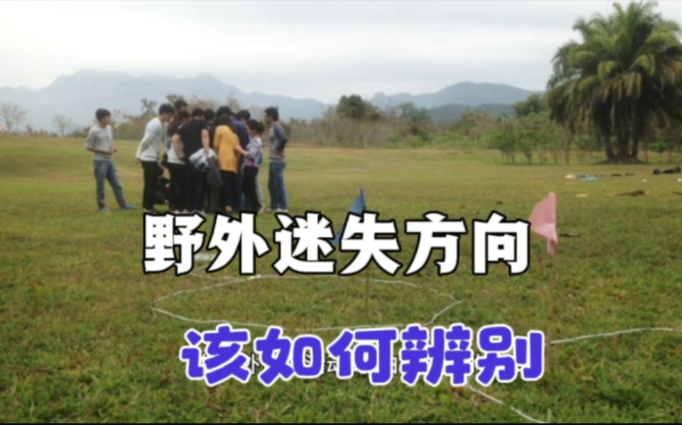 在野外迷失方向时,如何辨别