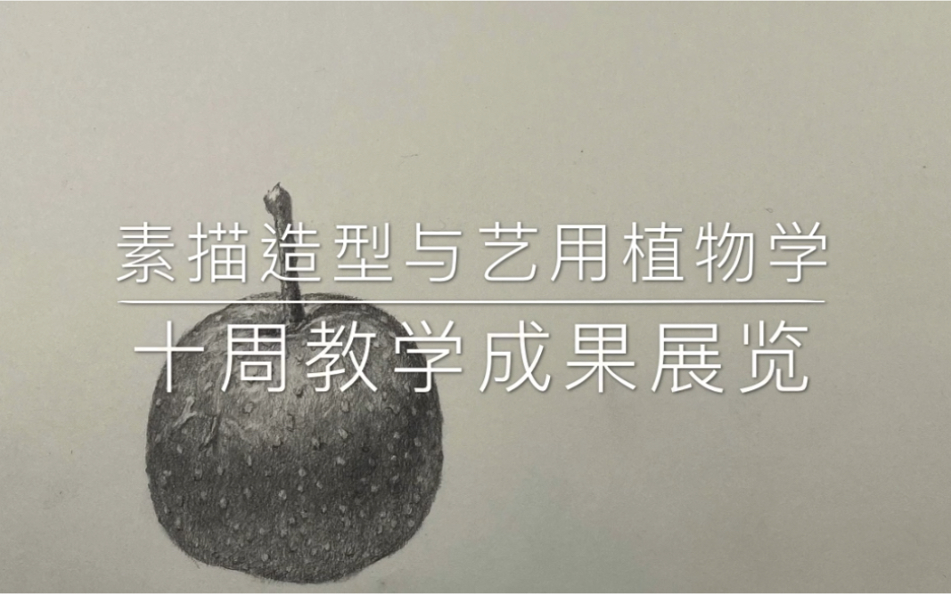 【素描】造型与艺用植物学教学作品展