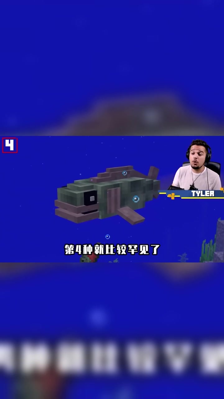 我的世界:盘点MC新增了哪些海洋生物?石斑鱼能力太强大