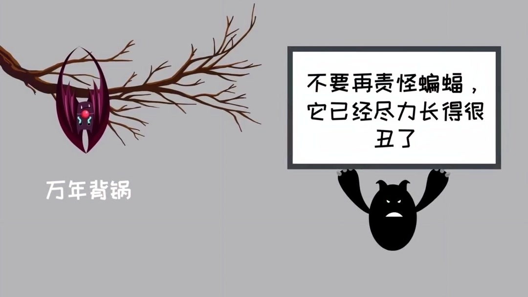 【在线制作MG动画】新型冠状病毒是个什么“毒”?看完你就知道