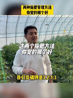 两种施肥管理方法、你觉的哪个更实用?#现代农业 #农业种植 #蔬菜...