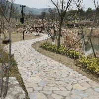 三月陌上花会开 