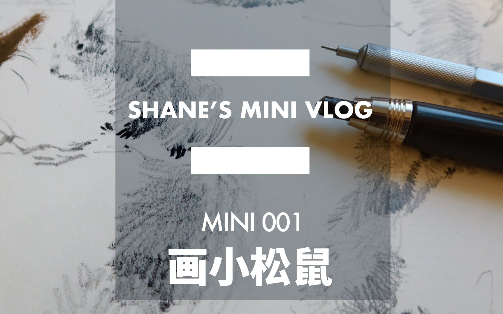 【画小松鼠】简单步骤轻松学,mini版vlog让你宅在家里安静练习。