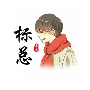 标总BiaoZong 