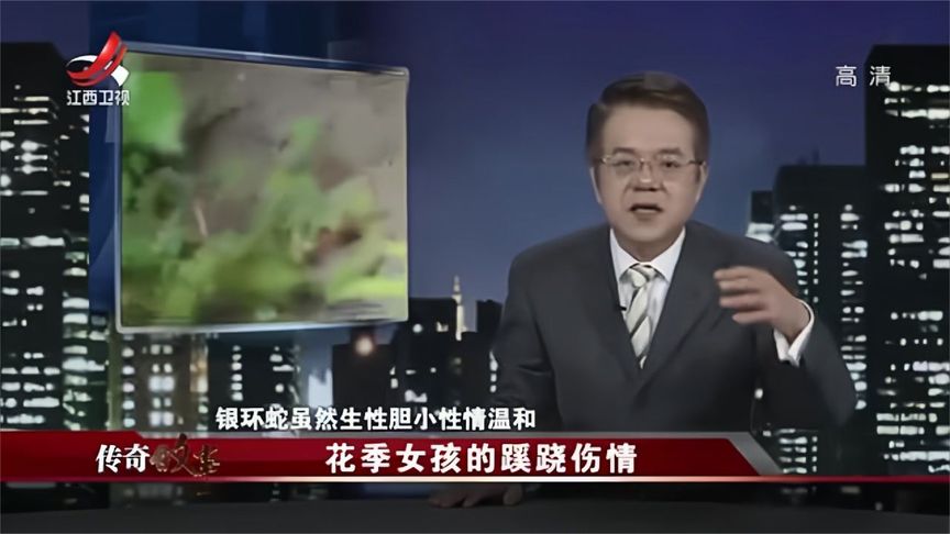 传奇:银环蛇剧毒无比,被咬伤几小时就能致命,女孩儿却网购一条