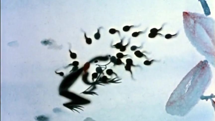 这部国产水墨动画片绝对是很多90后小时候的看电视乐趣