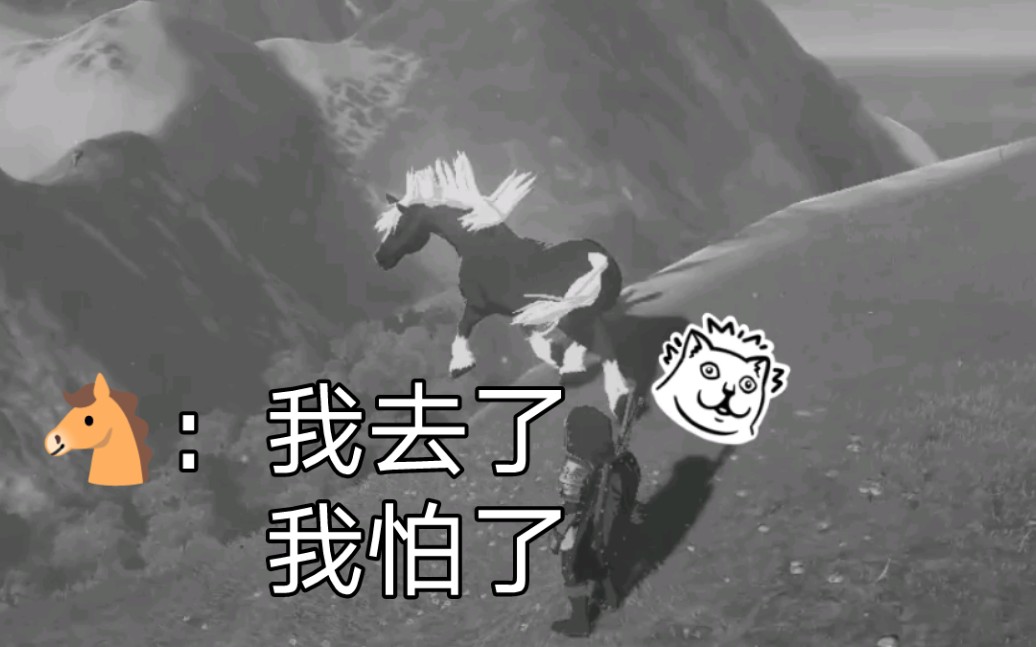 悬 崖 勒 马 -[塞尔达传说旷野之息]