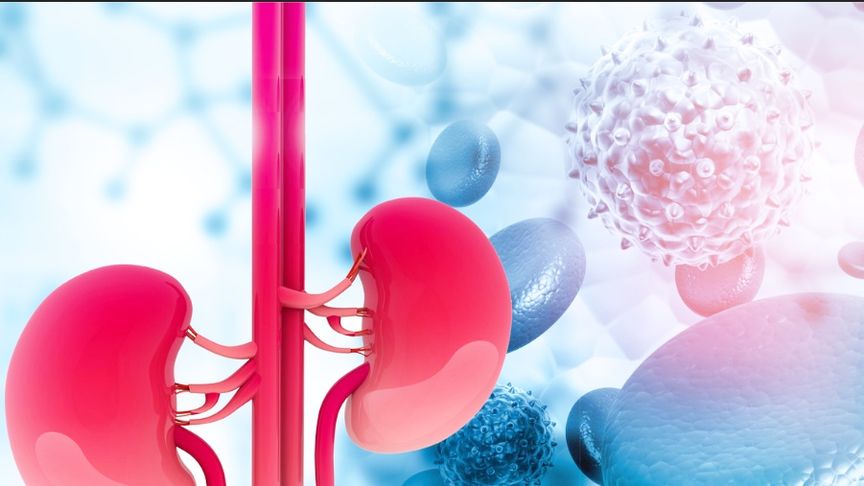 糖尿病肾病如何选择降糖药?3种降糖药详细总结,助你安全用药