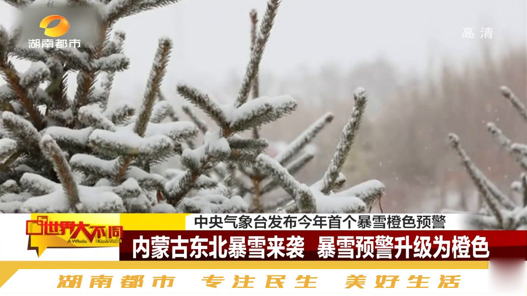 下雪了!今年首个暴雪橙色预警:预计将进入雨雪最强时段